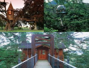 02-treehouse | iCreatived