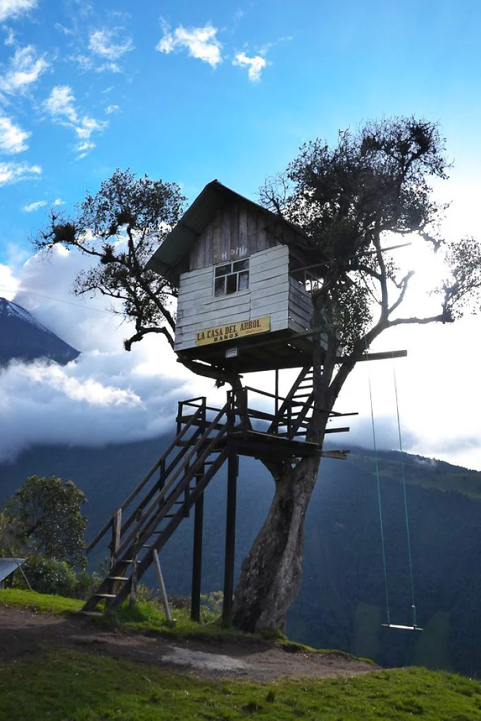 World Most Beautiful Tree House 25 Most Beautiful Tree Houses From All