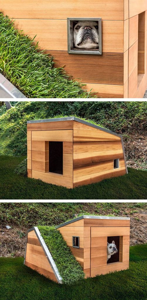 Doggy Dreamhouse: Innovative Approach to Dog Shelters | iCreatived