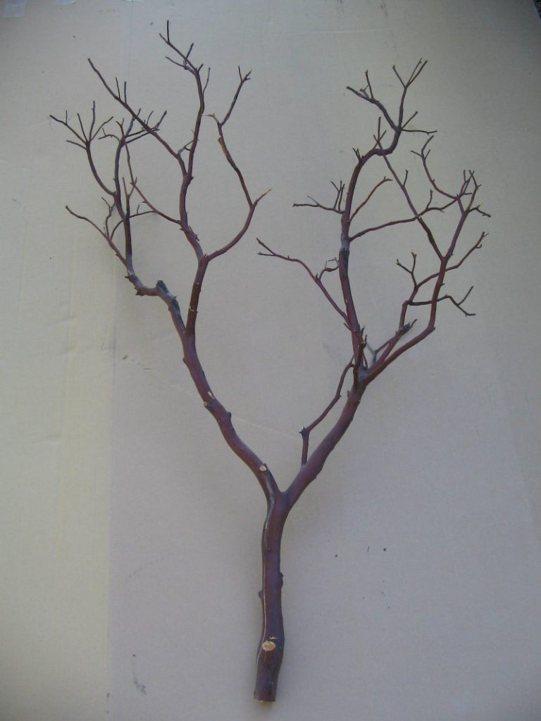 Dry Branches For Decorations | iCreatived