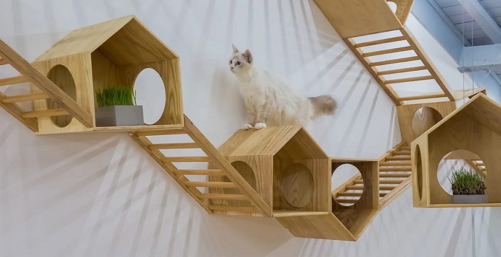 Cat House in Shanghai both for Cats and Cat Lovers | iCreatived