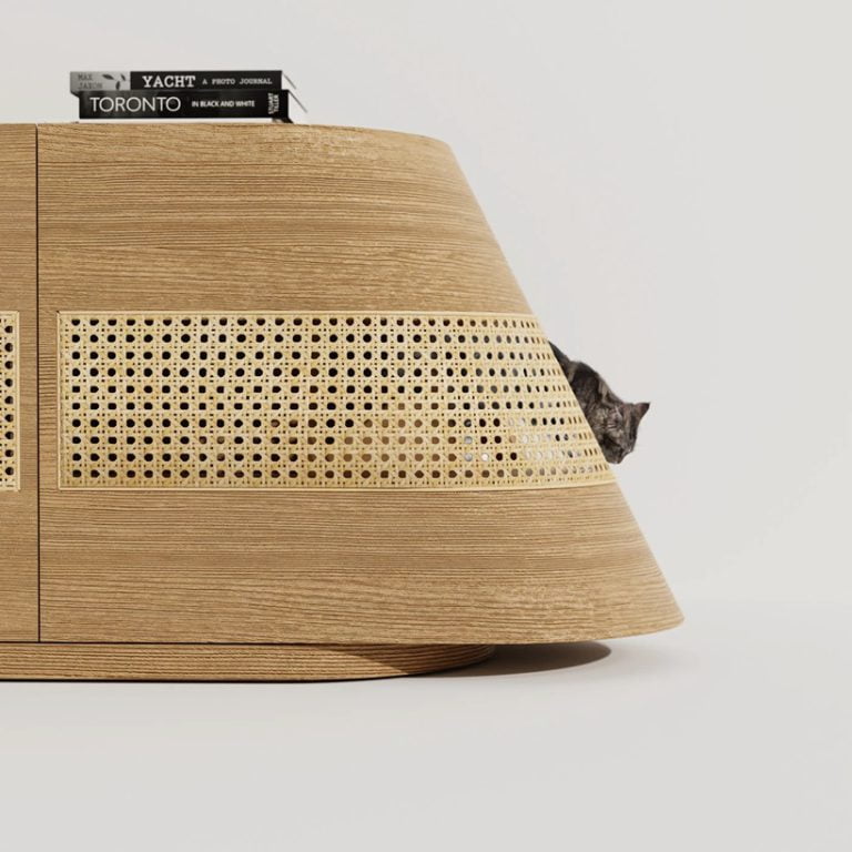 What is Pet Friendly Console? A Design by Ricardo Sa | iCreatived