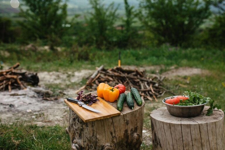 Campfire Cooking Masterclass 201 | iCreatived